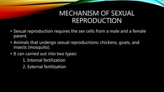 Sexual reproduction | PPT