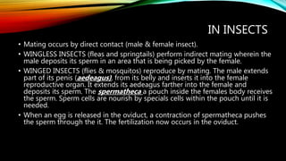 Sexual reproduction | PPT