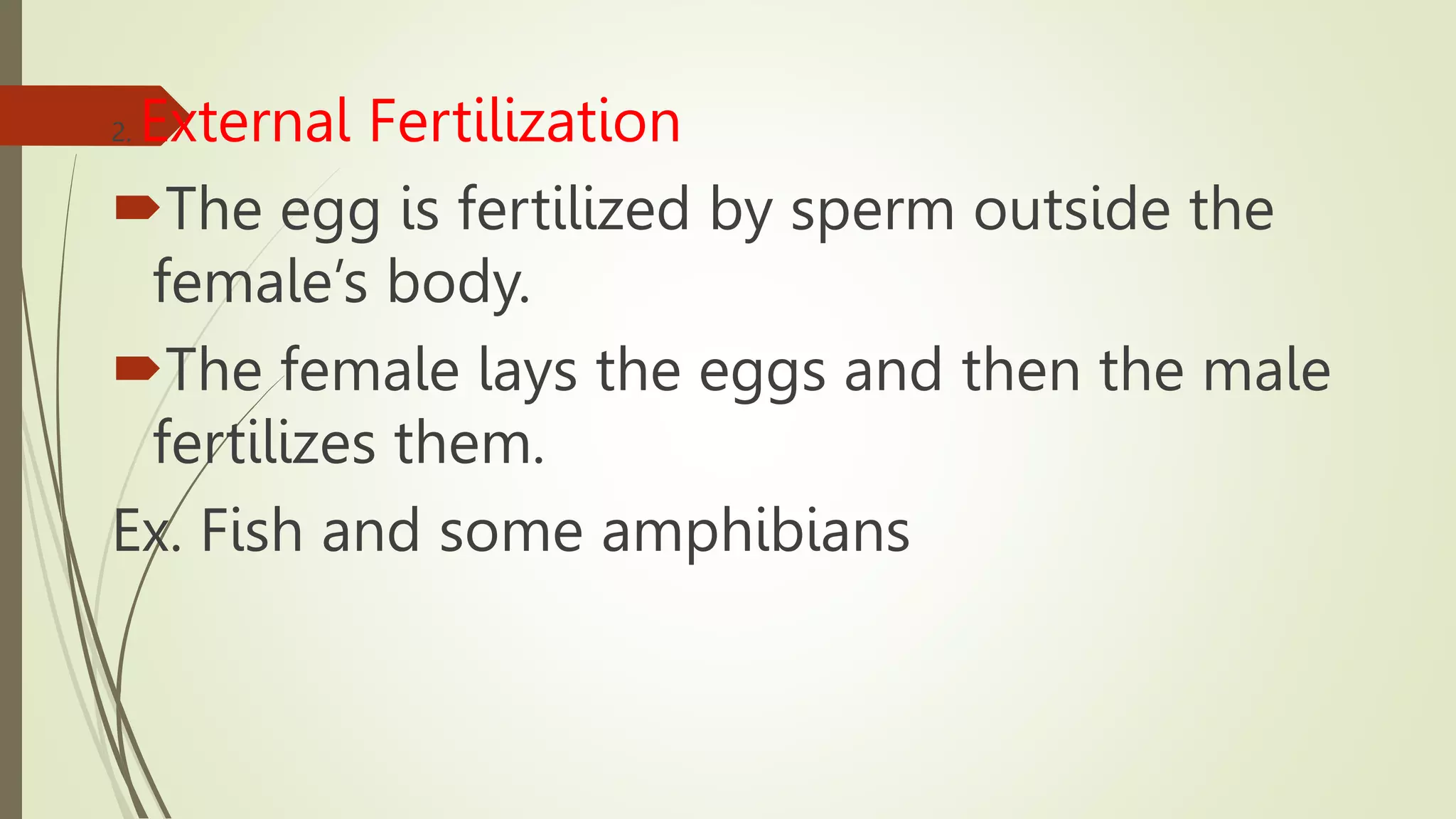Sexual Reproduction Pptx