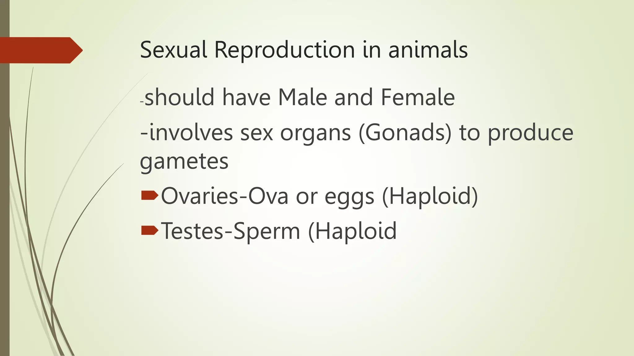 SEXUAL REPRODUCTION.pptx