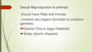 SEXUAL REPRODUCTION.pptx