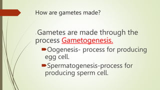SEXUAL REPRODUCTION.pptx