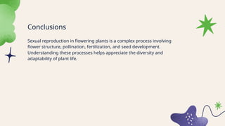 Sexual Reproduction in Flowering Plants NCERT | PPTX