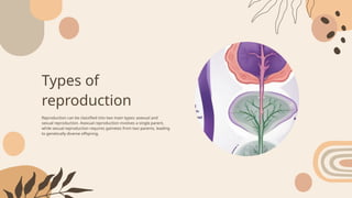 Sexual Reproduction (1).pptx class 12 biology | PPT