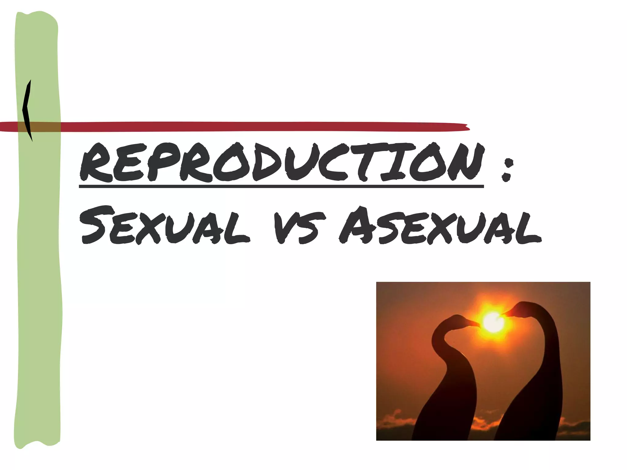 Sexual Reproduction and Meiosis.ppt.pdf | Infertility | Reproductive Health