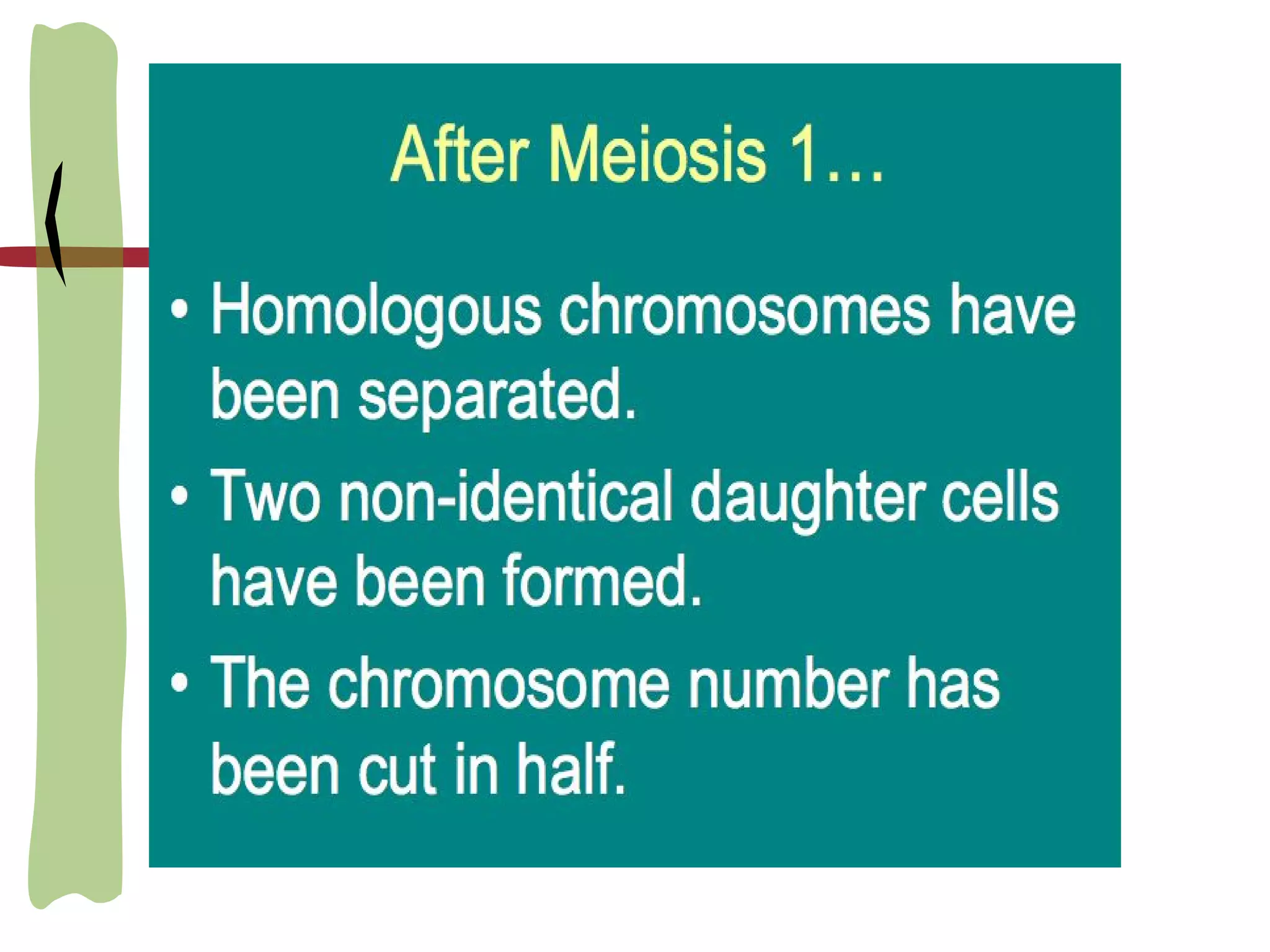 Sexual Reproduction and Meiosis.ppt.pdf