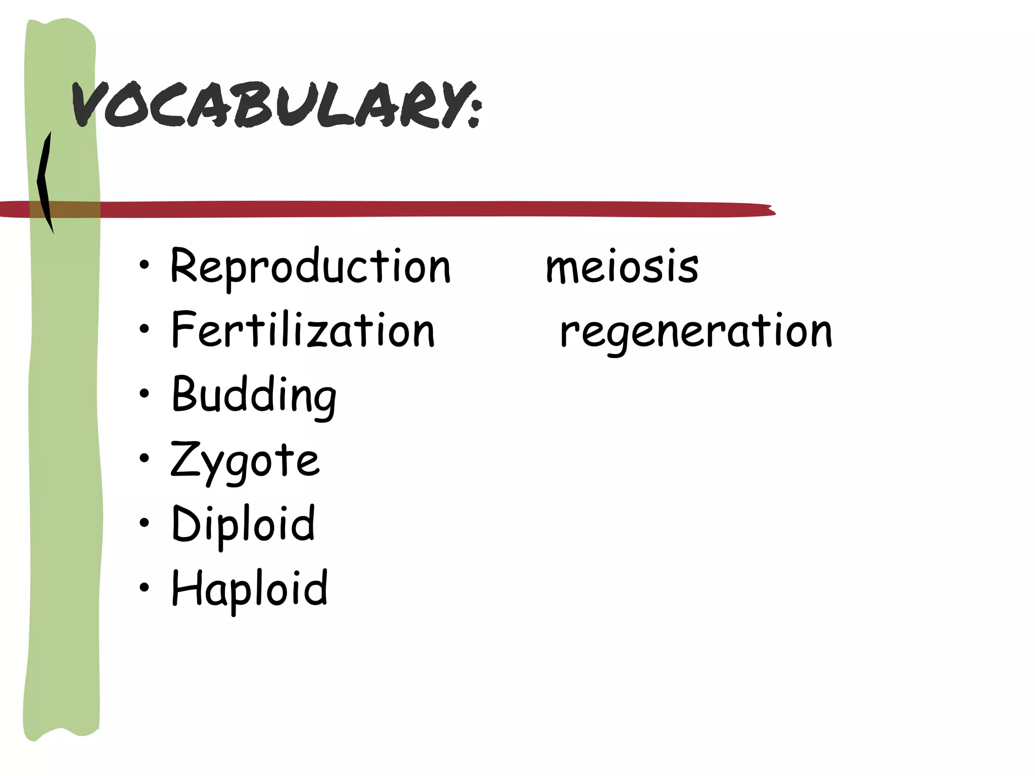 Sexual Reproduction and Meiosis.ppt.pdf