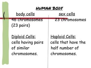 Sexual Reproduction and Meiosis.ppt.pdf