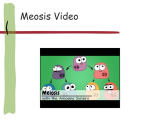 Sexual Reproduction and Meiosis.ppt.pdf