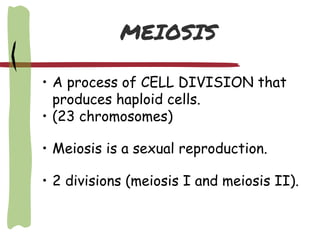 Sexual Reproduction and Meiosis.ppt.pdf