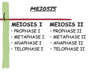 Sexual Reproduction and Meiosis.ppt.pdf