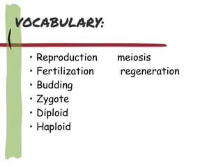 Sexual Reproduction and Meiosis.ppt.pdf