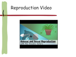 Sexual Reproduction and Meiosis.ppt.pdf | Infertility | Reproductive Health