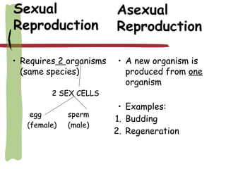 Sexual Reproduction and Meiosis.ppt.pdf | Infertility | Reproductive Health