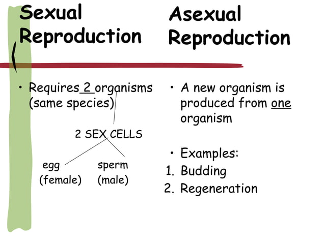 Sexual Reproduction and Meiosis.ppt.pdf