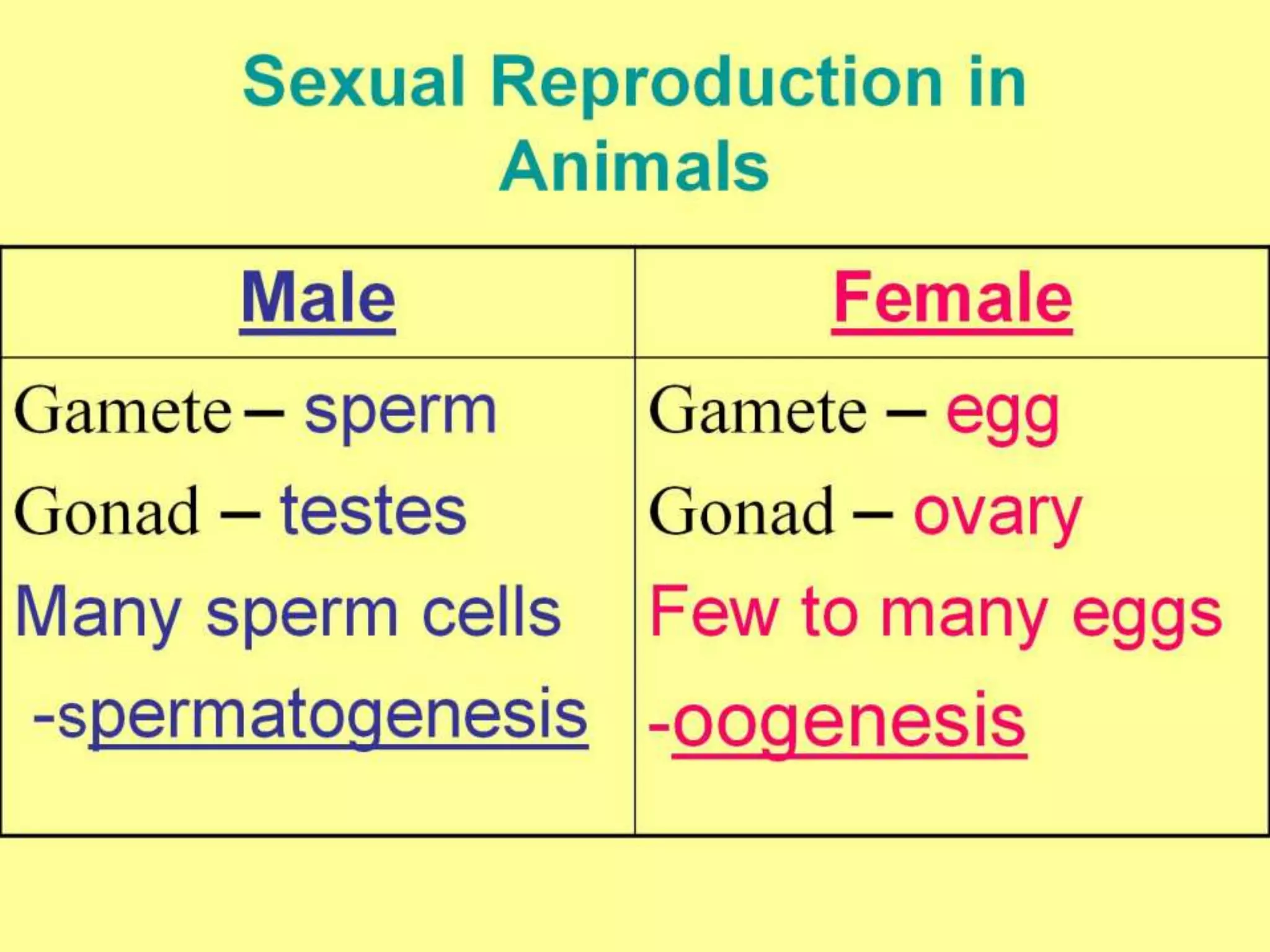 Sexual Reproduction in animals | PPTX