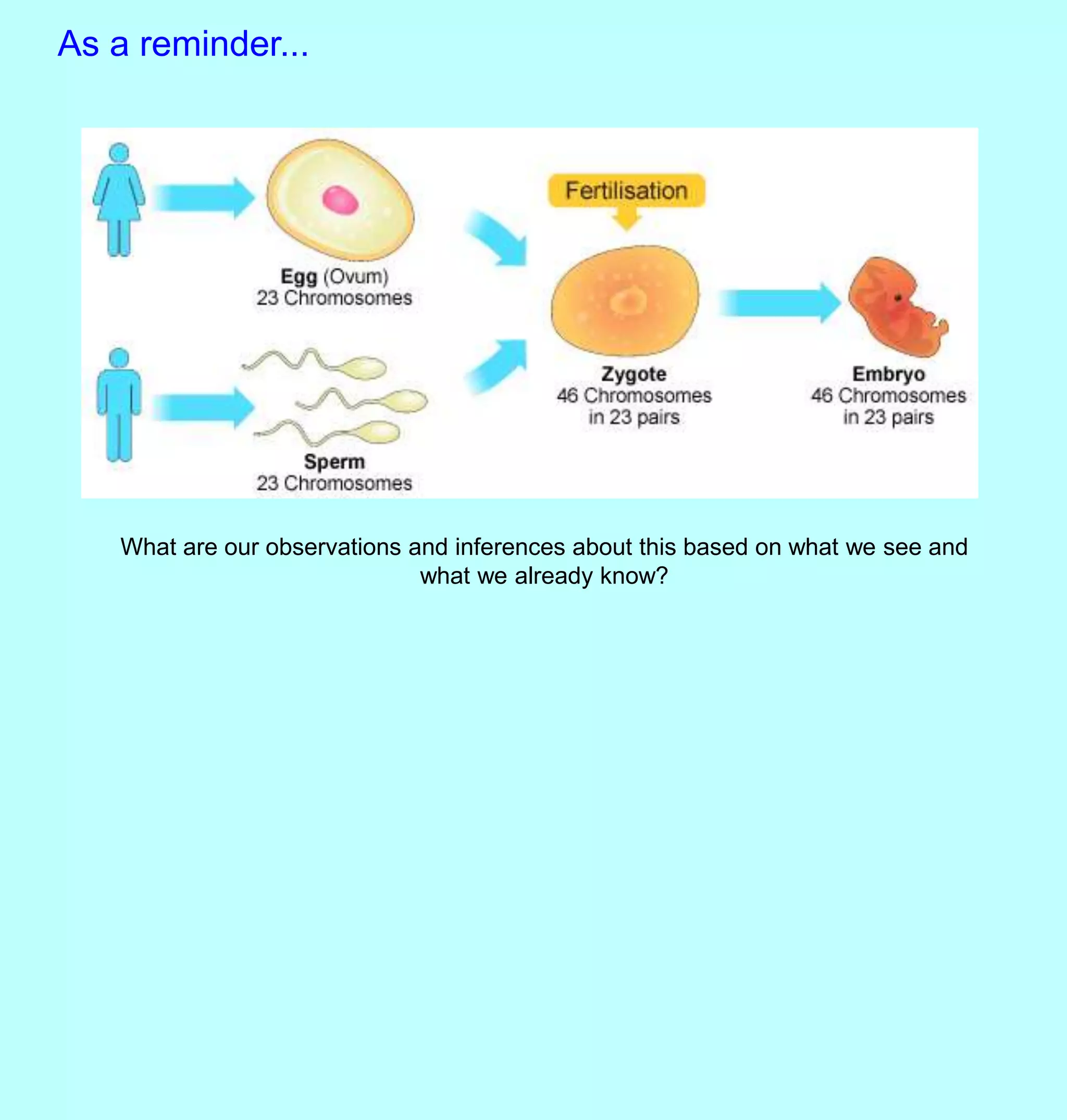 Sexual reproduction in animals teacher | PPTX