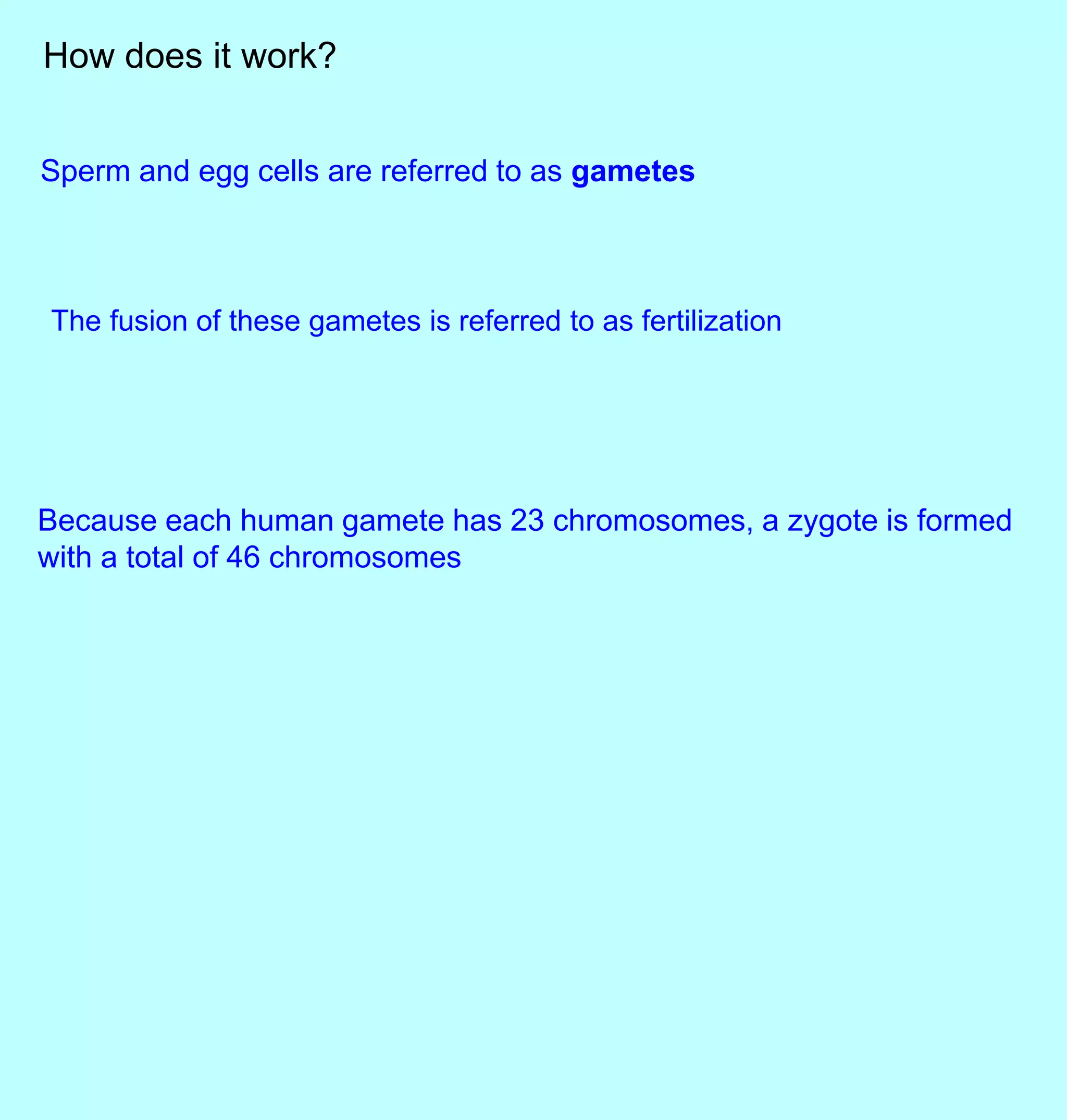 Sexual reproduction in animals teacher | PPTX