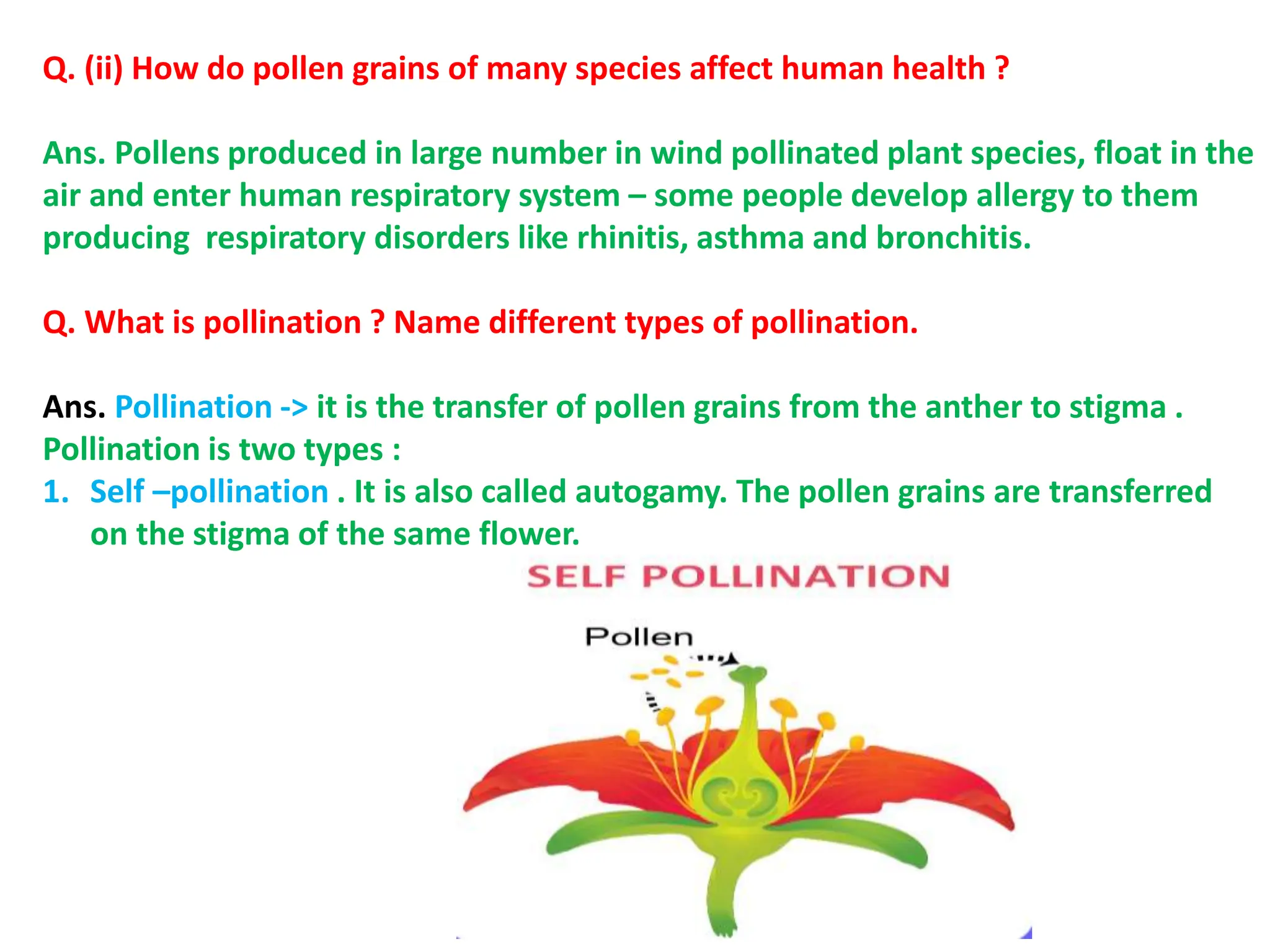 Sexual Reproduction in Flowering Class 12th Biology 1st Chapter.pptx