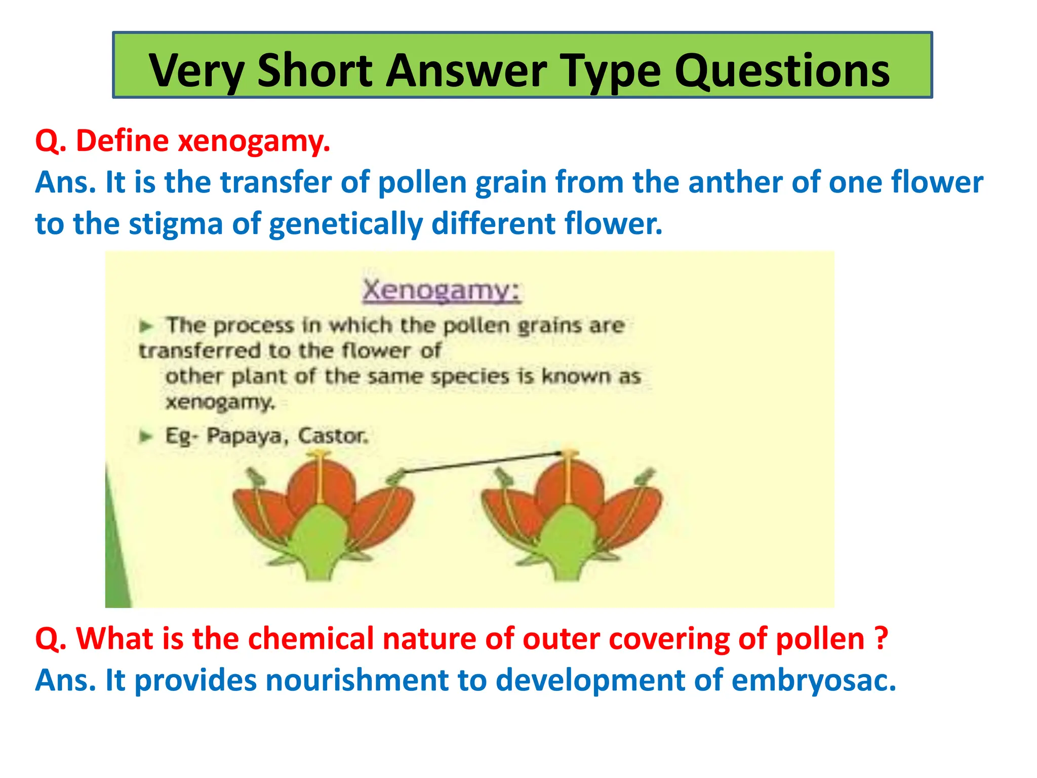 Sexual Reproduction in Flowering Class 12th Biology 1st Chapter.pptx