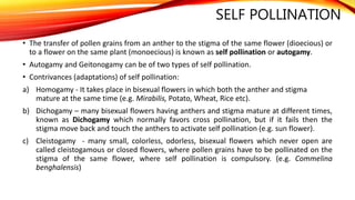 Sexual reproduction in flowering plant | PPTX | Gardening | Home & Garden