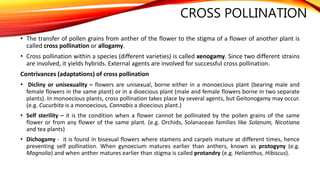 Sexual reproduction in flowering plant | PPTX