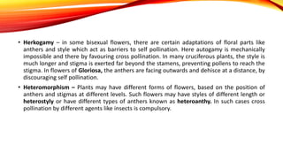 Sexual reproduction in flowering plant | PPTX