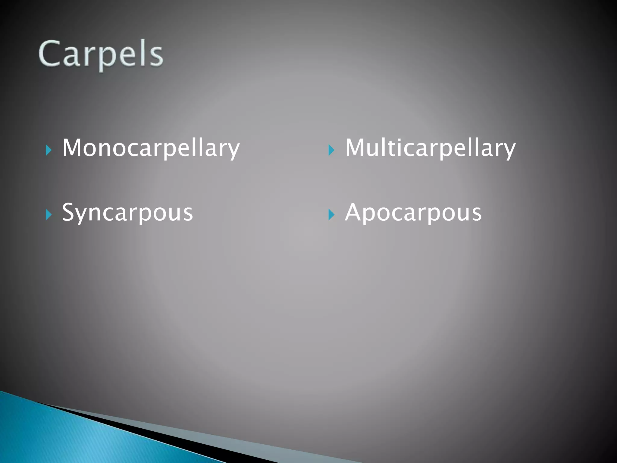 Sexual reproduction in Angiosperms | PPTX