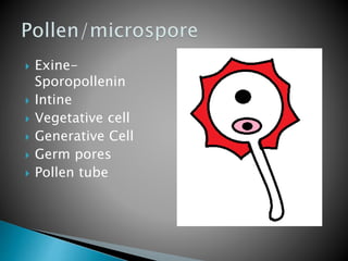 Sexual reproduction in Angiosperms | PPTX