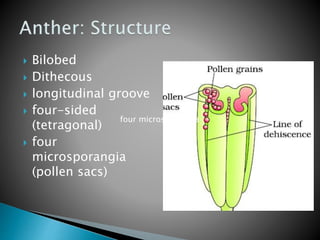 Sexual reproduction in Angiosperms | PPTX