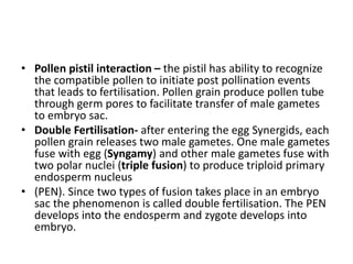 Sexual reproduction in flowering plants | PPTX