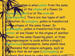 #Sexual reproduction in flowering plants | PPT
