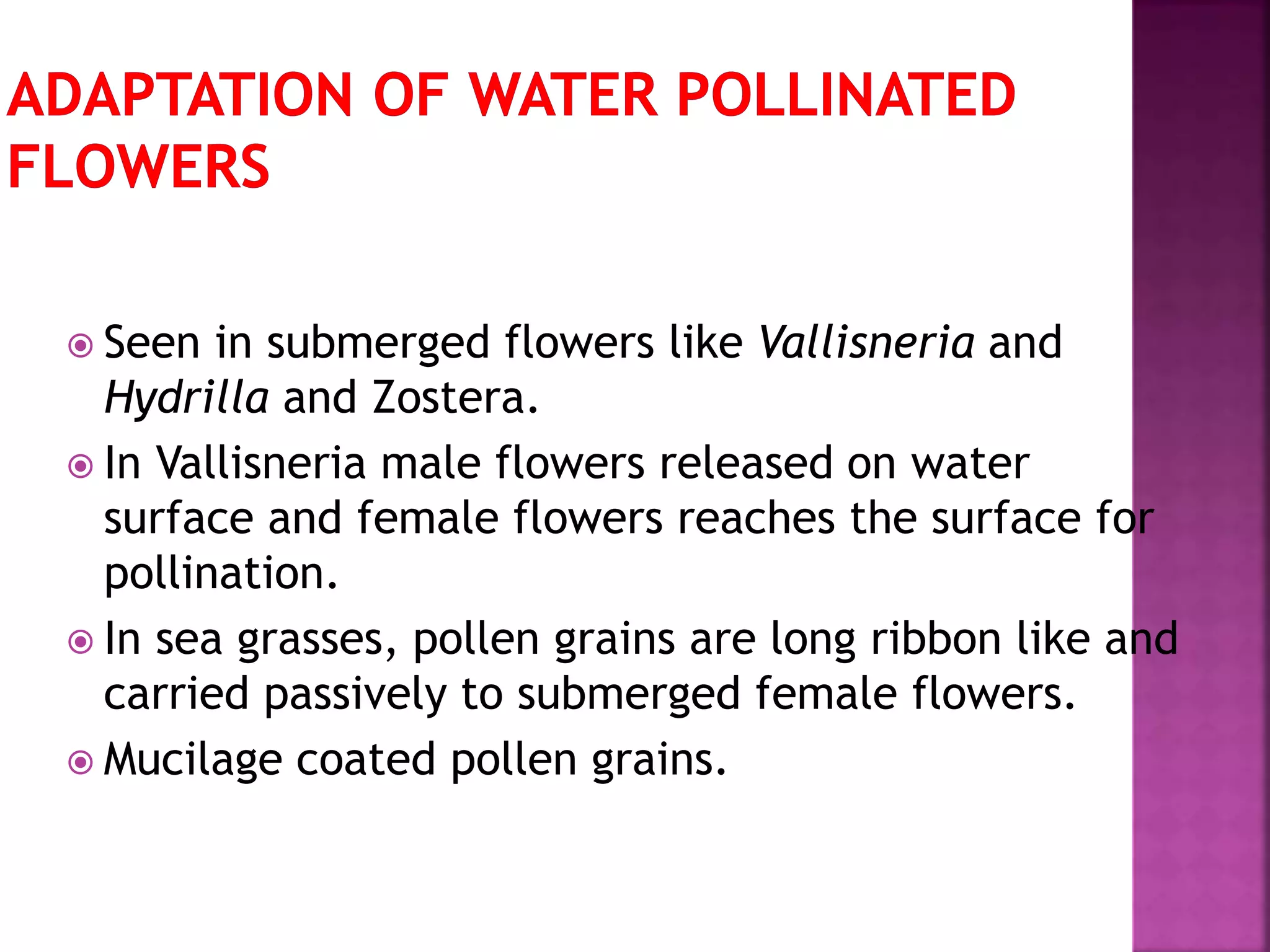 Sexual reproduction in flowering plants | PPTX