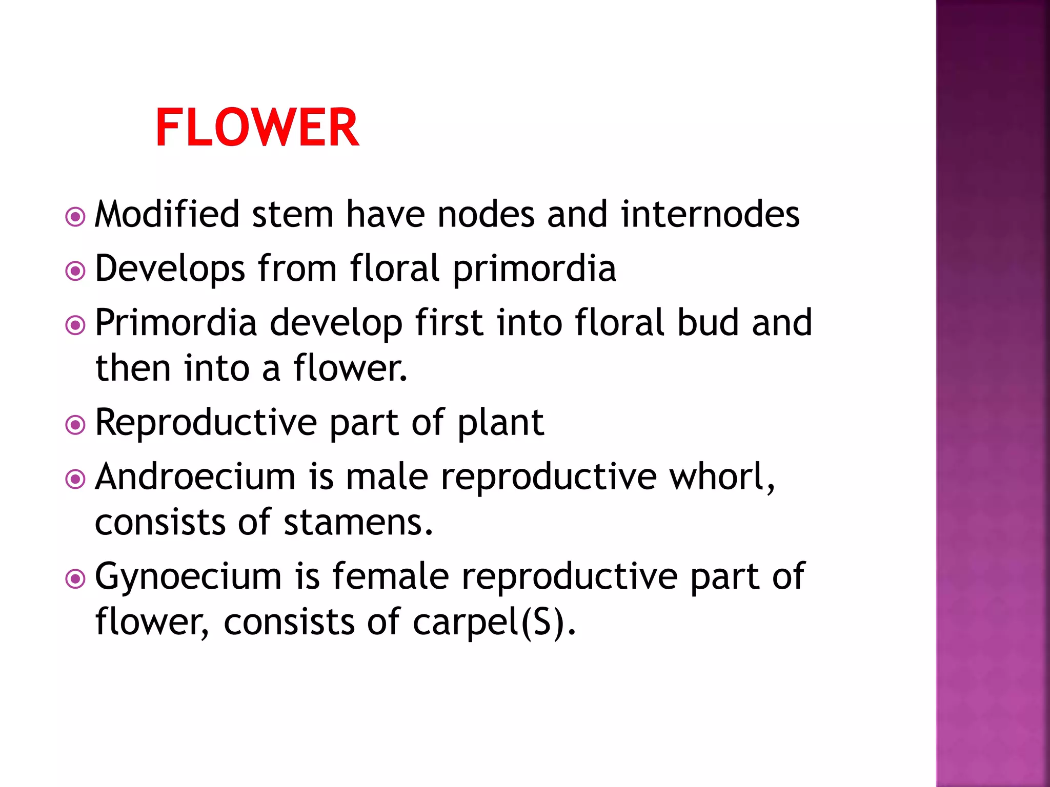Sexual reproduction in flowering plants | PPTX