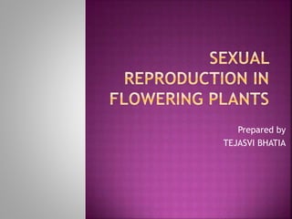 Sexual reproduction in flowering plants | PPTX