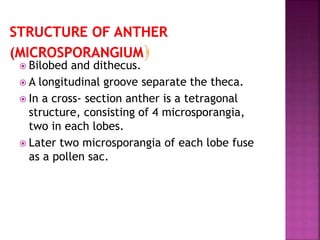 Sexual reproduction in flowering plants | PPTX