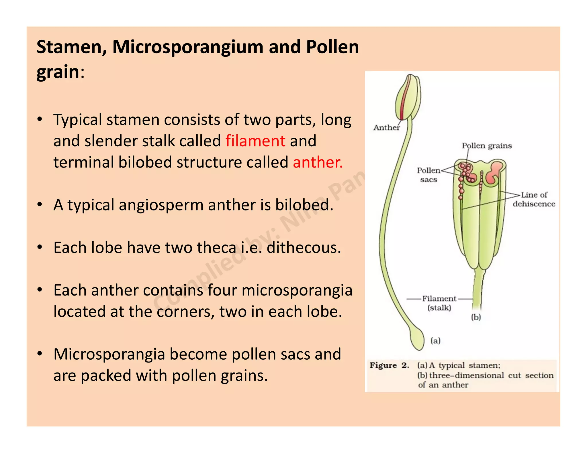 Sexual reproduction in flowering plants- Chapter 2 | PDF