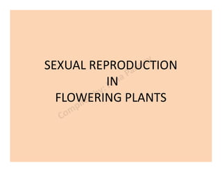 Sexual reproduction in flowering plants- Chapter 2 | PPT