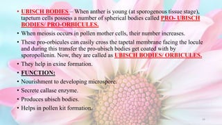 Sexual reproduction in flowering plants | PPTX