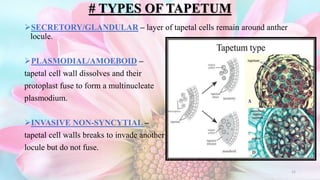 Sexual reproduction in flowering plants | PPT