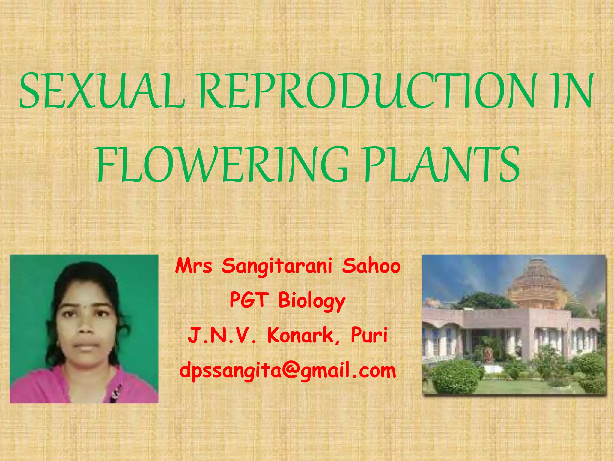 Sexual reproduction in flowering plants (Class 12) | PPTX