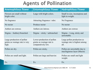 Sexual reproduction in flowering plants | PPT
