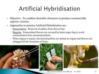 Sexual reproduction in flowering plants | PPTX