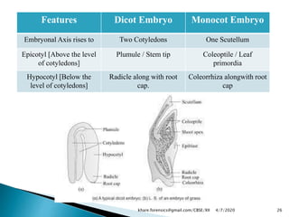 Sexual reproduction in flowering plants | PPT