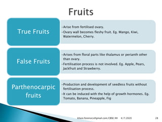 Sexual reproduction in flowering plants | PPT