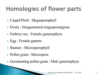 Sexual reproduction in flowering plants | PPT
