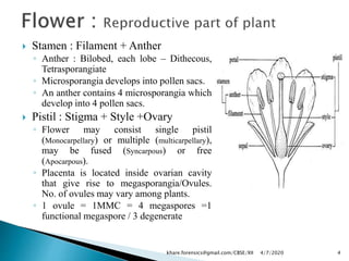 Sexual reproduction in flowering plants | PPT