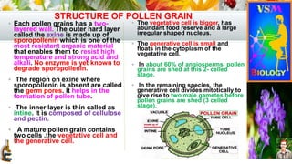 Sexual reproduction in flowering plants | PDF