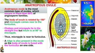 Sexual reproduction in flowering plants | PPT