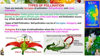 Sexual reproduction in flowering plants | PDF